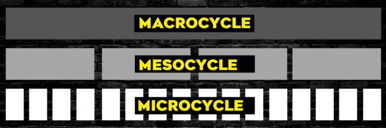 Explaining Macro, Meso & Microcycles - Clean Health
